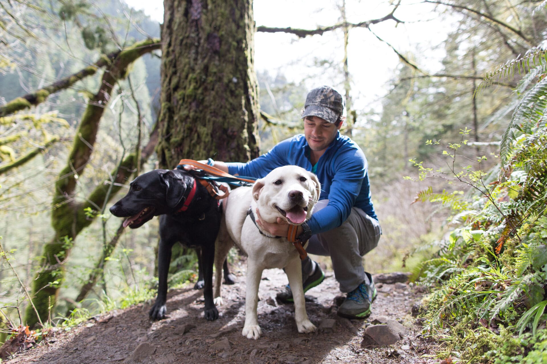 Kelowna's Best Dog Friendly Hikes and Off-Leash Trails